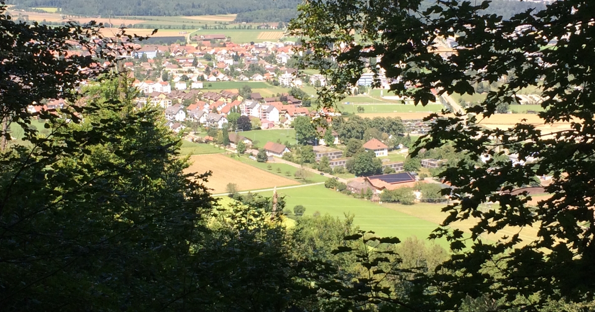 Zum Schloss Brunegg und über den Chestenberg